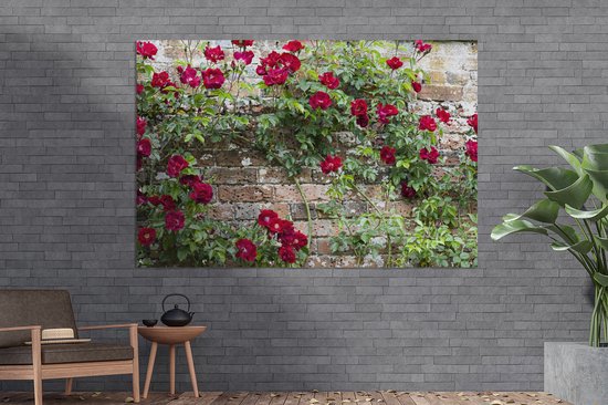 Muurdecoratie Klimplant met rode bloemen op een stenen muur - 180x120 ...
