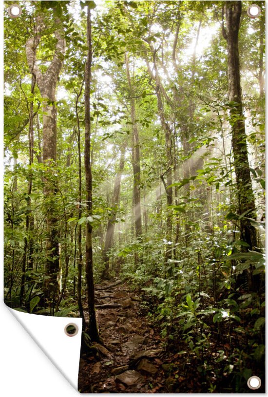 Jungle verte dans le parc national de Canaima au Venezuela Poster de ...
