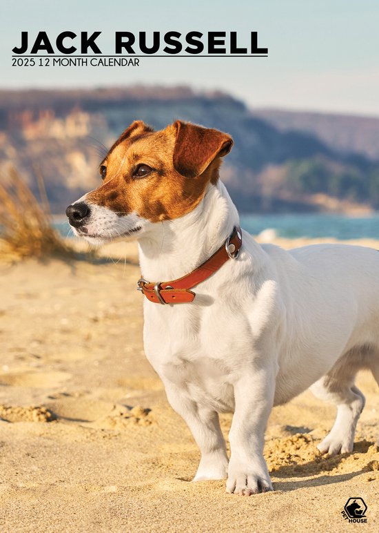 Jack Russel Terrier A3 Kalender 2025 | bol