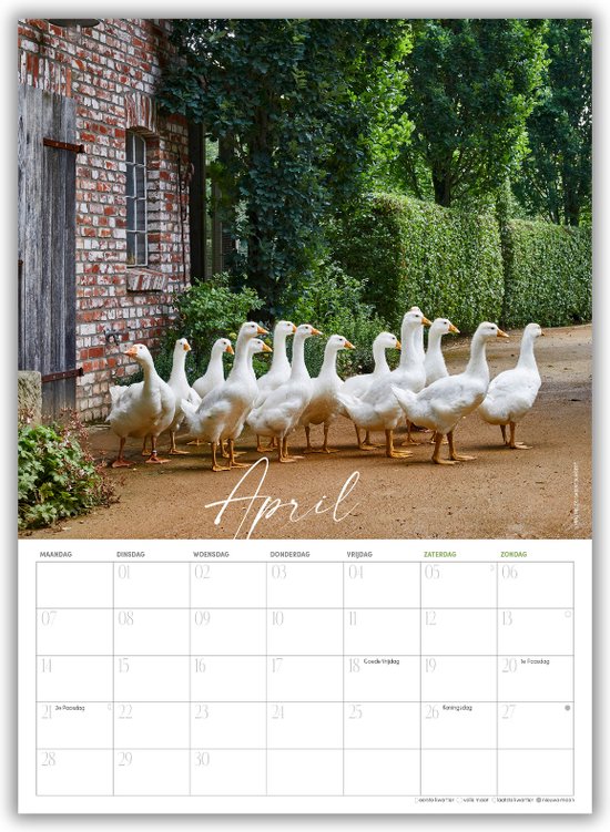 Seasons Kalender 2025 Bol