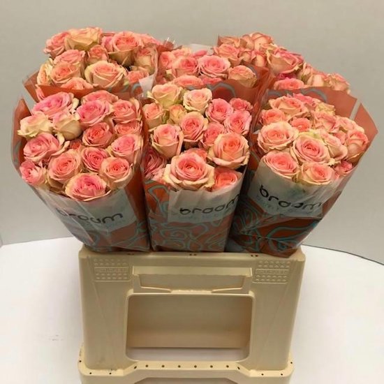 DutchFlowers - Boeket - 10x Rosa azore 40cm | bol