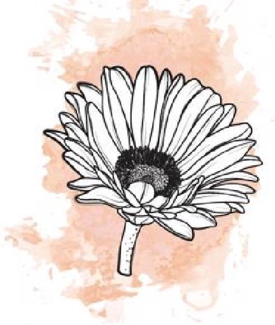 DutchFlowers - Boeket - 60x Germini - zalm 40cm | bol