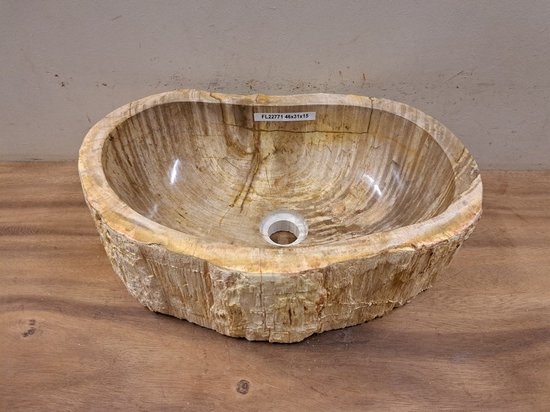Waskom van versteend hout - 46x31x15cm - FL22771 | bol