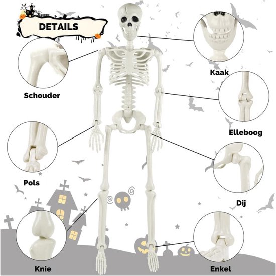 Realistisch Posabel Halloween Skelet - 90 Cm Beweegbaar Menselijk Skelet Voor... | bol