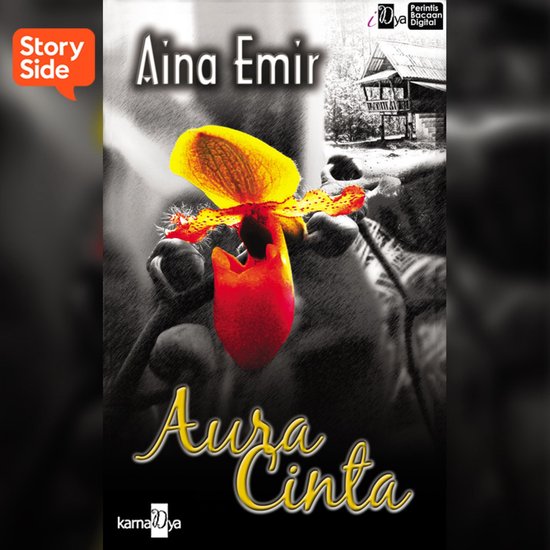Aura Cinta, Aina Emir | 9789180561594 | Boeken | bol