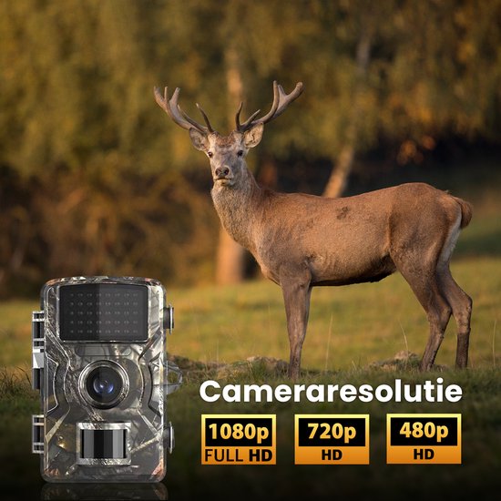 ANGULAR Professionele Wildcamera - Wildcamera met Nachtzicht ...