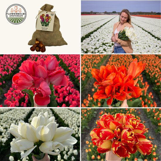 Tulpenbollen 100stuks - Super Tulip Mix - Duurzame voordeelzak, 100 bloembollen voor... | bol