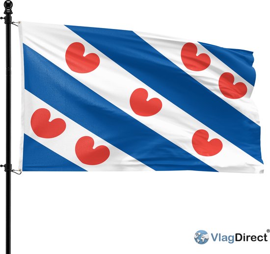 VlagDirect - Friese vlag - Friesland vlag - 90 x 150 cm | bol
