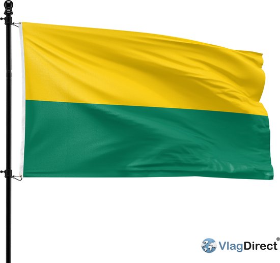 VlagDirect - Haagse vlag - Den Haag vlag - 90 x 150 cm. | bol