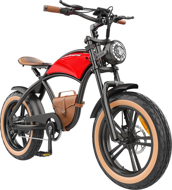 Hidoes B10 elektrische fiets, krachtige borstelloze motor, 48V 13Ah ...