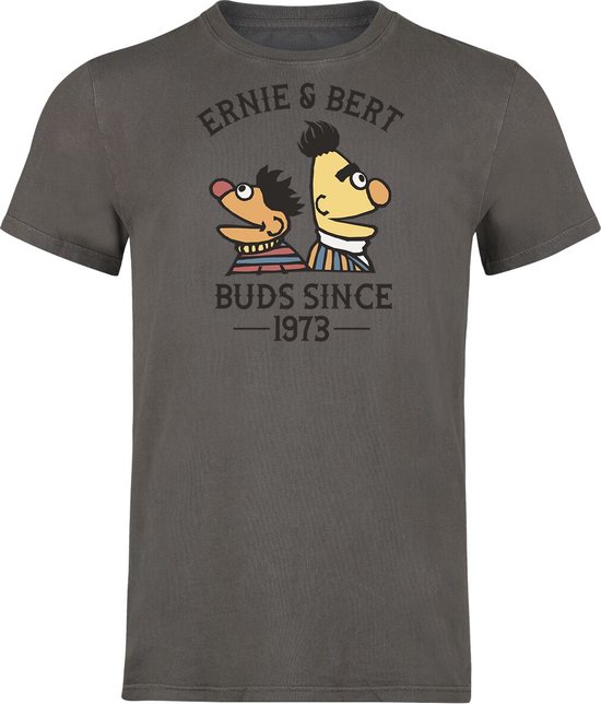 Sesame Street Ernie & Bert - Bros since 1973 T-shirt grijs M | bol