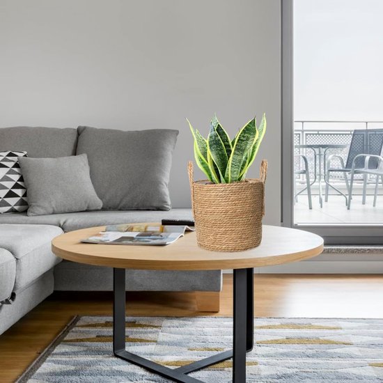 Bloempot Zeegras Zeegras Plant Mand stro Plant Pot Gevlochten Mand ...