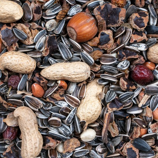 Deli Nature Greenline Nut Mix - 10 x 500 gr - Voordeelverpakking | bol