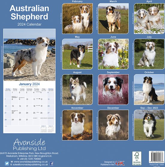 Australian Shepherd Kalender 2024 | bol