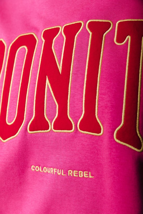 Colourful Rebel Bonita Patch Relaxed Sweat - L | bol.com