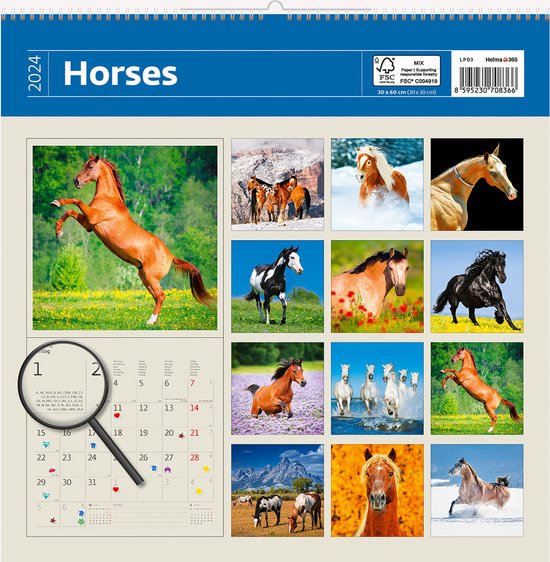CA03-25 Schrijfkalender 2025 Paarden 30 x 30 cm | bol