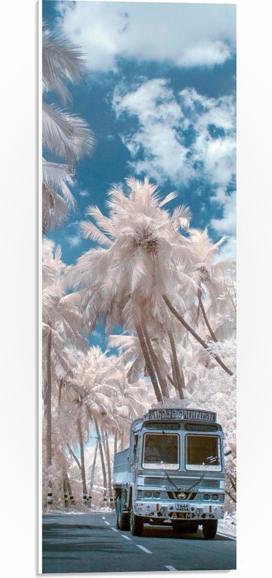 PVC Schuimplaat - Wit Busje Rijdend tussen de Witte Palmbomen onder ...