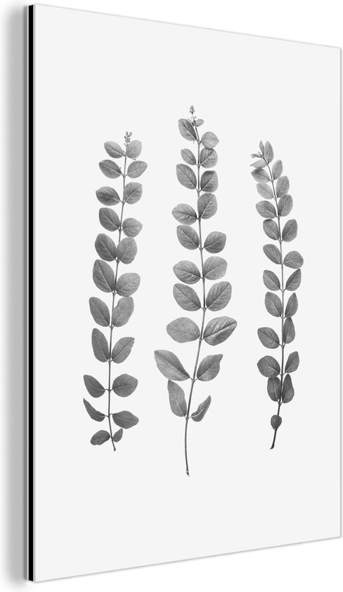 Planten - Bladeren - Natuur - Wit | bol.com