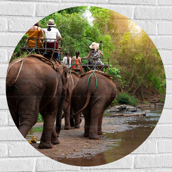 Muursticker Cirkel - Toeristen op Rug van Olifant door de Jungle ...
