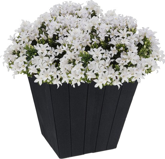 Terras plantenpot bloempot - hout-look - donkergrijs - vierkant - D40 x H35 cm | bol
