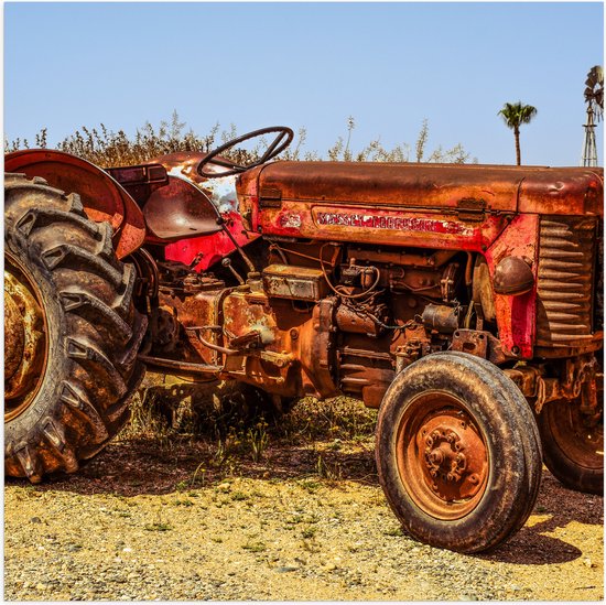 Poster (Mat) - Oude Verroeste Rode Tractor in het Weiland - 50x50 cm ...