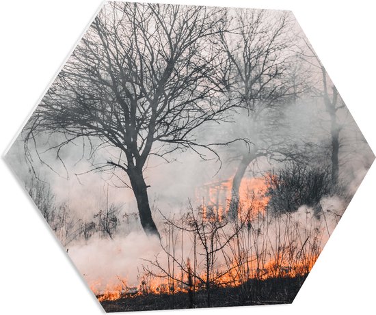 PVC Schuimplaat Hexagon - Bomen - Planten - Brand - Vuur - Rook - 70x60 ...