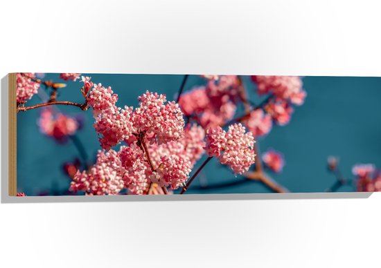 Hout - Bomen - Takken - Bloemen - Bloesem - 90x30 cm - 9 mm dik - Foto ...