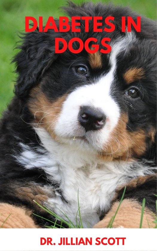 Diabetes in Dogs (ebook), Dr. Jillian Scott | 1230006637576 | Boeken ...