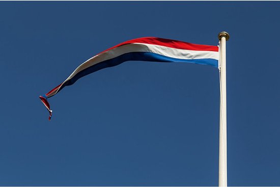 Nederlandse Wimpel 20x150cm | bol