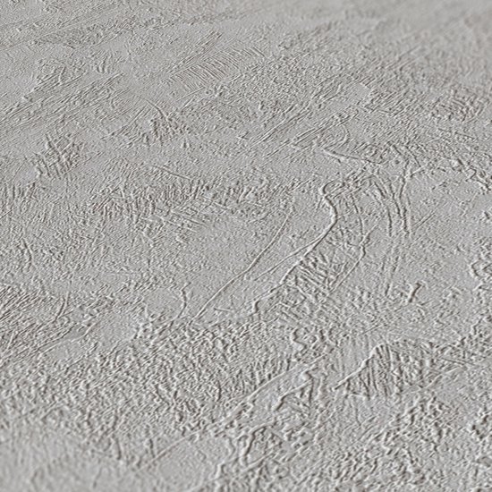 STRUCTUUR BEHANG | Basic Uni - grijs zilver - A.S. Création Profitex 2 ...