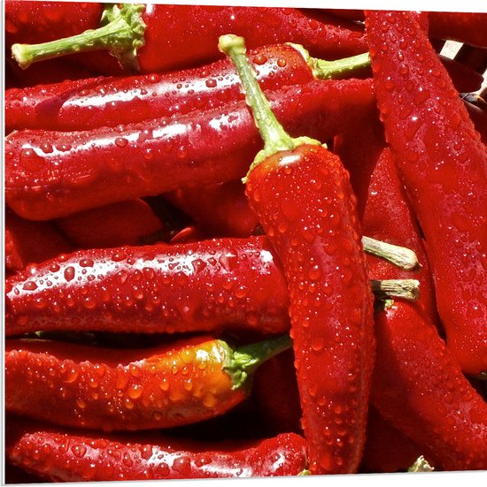 PVC Schuimplaat- Waterdruppels op Verse Rode Pepers - 80x80 cm Foto op ...