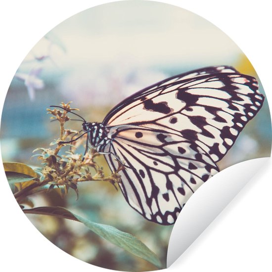 WallCircle - Muurstickers - Behangcirkel - Vlinder - Bloemen - Lente - 80x80 cm -... | bol