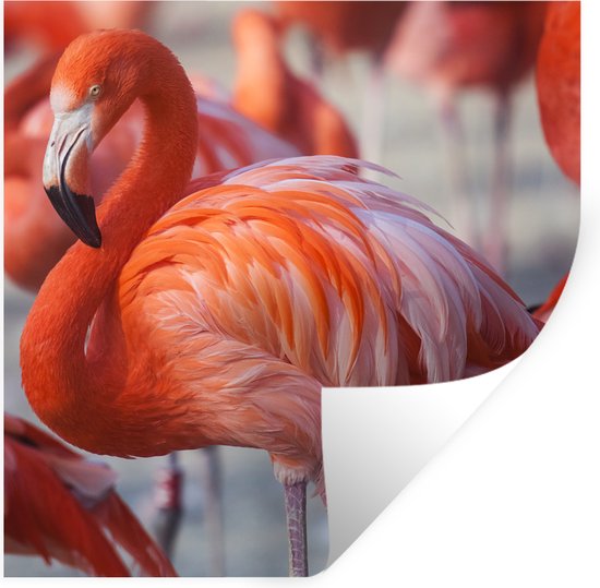 Muurstickers - Sticker Folie - Flamingo - Vogel - Dieren - Roze - 30x30 cm - Plakfolie... | bol