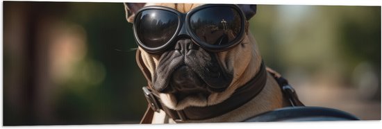 Vlag - Bulldog Hond met Zonnebril Rijdend op Motor - 120x40 cm Foto op ...