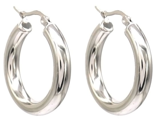 Oorbellen - RVS Oorringen - 3 cm - Zilverkleurig | bol