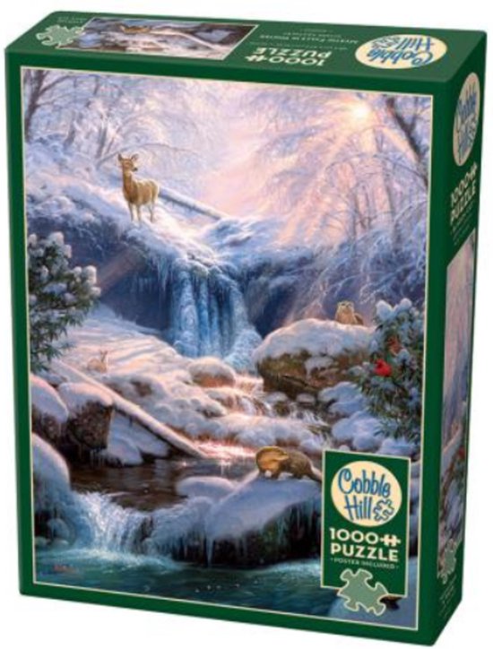 Cobble Hill legpuzzel Mystic falls in winter 1000 aparte stukjes | bol
