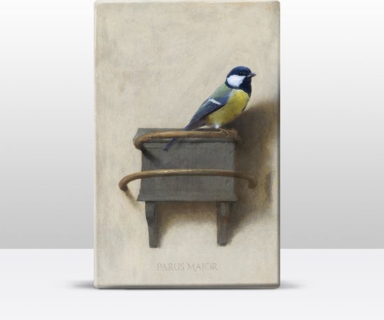 Koolmeesje - Mini Laqueprint - 9,6 x 14,6 cm - Niet van echt te ...