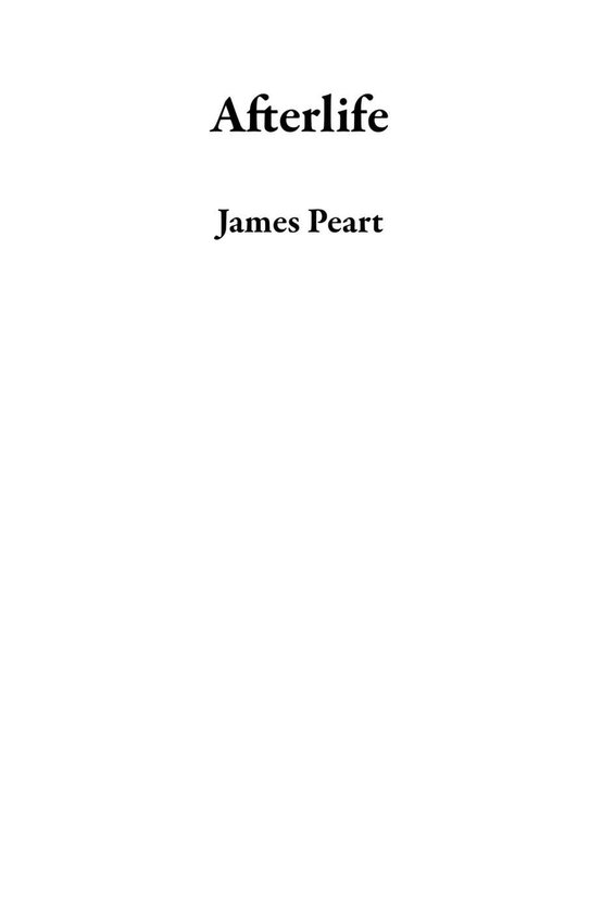 Afterlife (ebook), James Peart | 9798223701088 | Boeken | bol