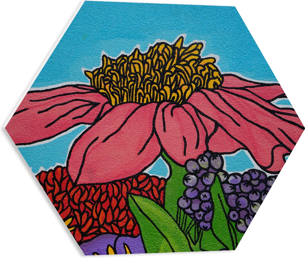 PVC Schuimplaat Hexagon - Cartoon Tekening van Roze, Paarse, Gele en ...