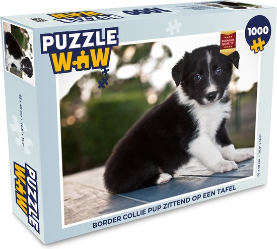 Puzzel Border collie pup zittend op een tafel - Legpuzzel - Puzzel 1000 ...