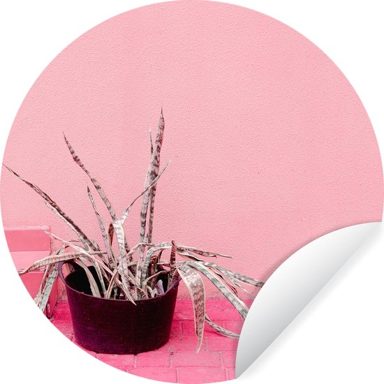 WallCircle - Muurstickers - Behangcirkel - Zomer - Roze - Planten - 100x100 cm -... | bol