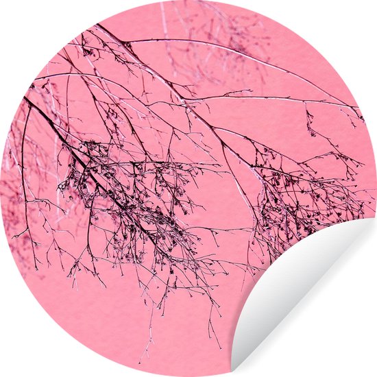 WallCircle - Muurstickers - Behangcirkel - Bloemen - Takken - Zomer - 50x50 cm -... | bol