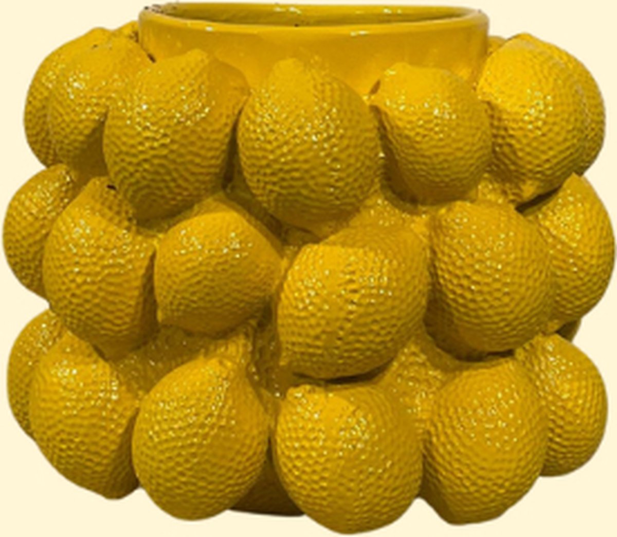 Bloempot met citroenen geel | bol