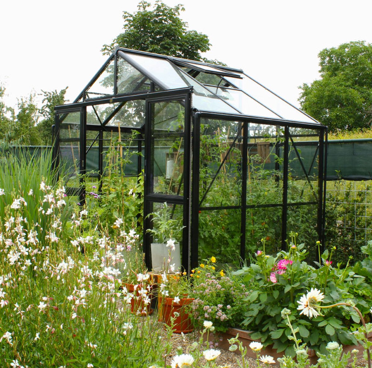 Gardenmeister Four Seasons 100 tuinkas - Broeikas van aluminium en ...