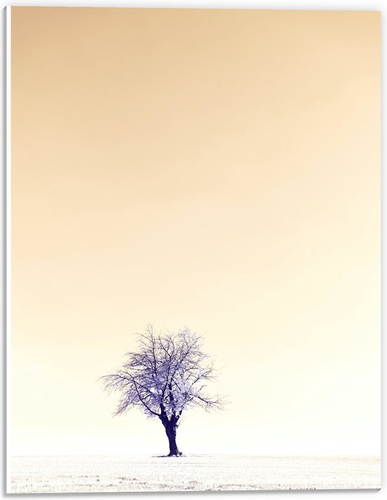 PVC Schuimplaat - Boom - Landschap - 30x40 cm Foto op PVC Schuimplaat ...