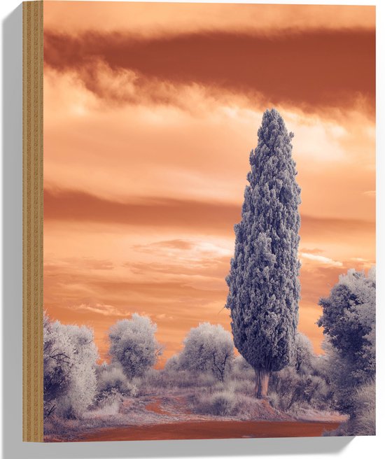 Hout - Bomen - Landschap - Natuur - Kleuren - 30x40 cm - 9 mm dik ...