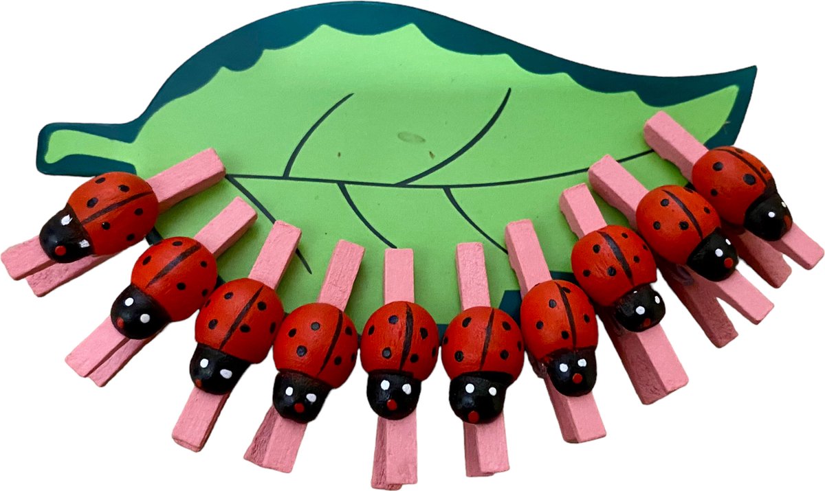 Houten knijpers met lieveheersbeestje roze 10 stuks | bol