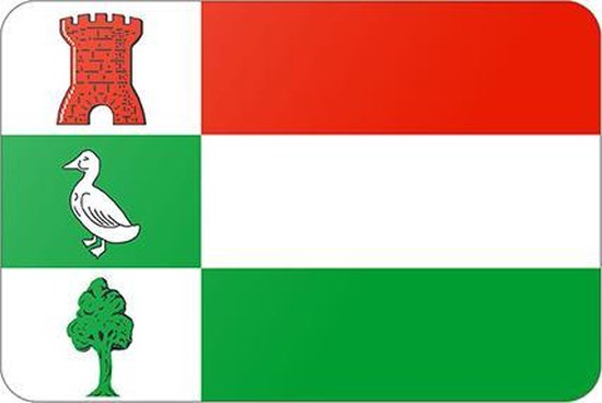 Vlag gemeente Halderberge - 70 x 100 cm - Polyester | bol.com