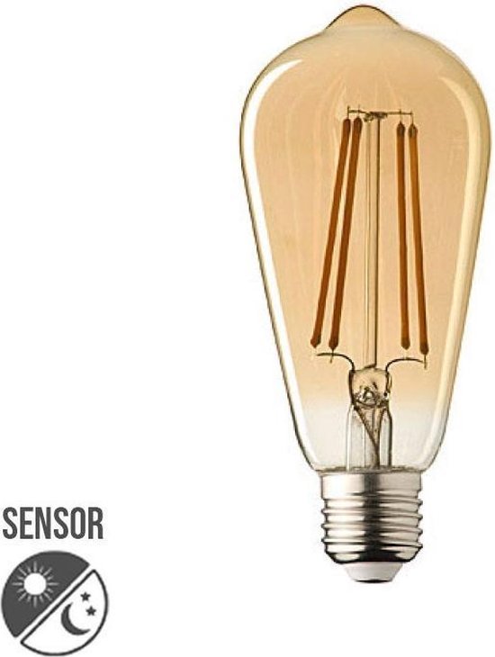 Sensor lamp LED E27 Lybardo Filament Edison Rustique finish 4.2W 2700K Warm Wit | bol.com
