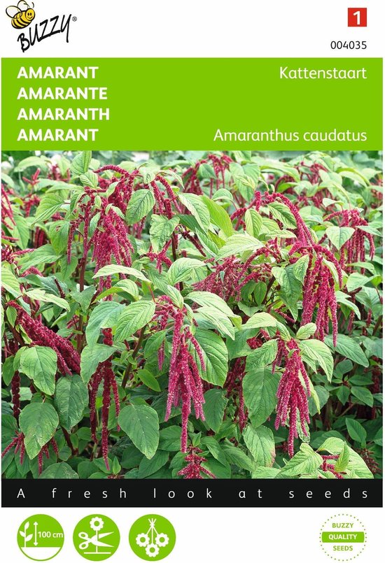 2 stuks Amaranthus, Kattenstaart rood | bol